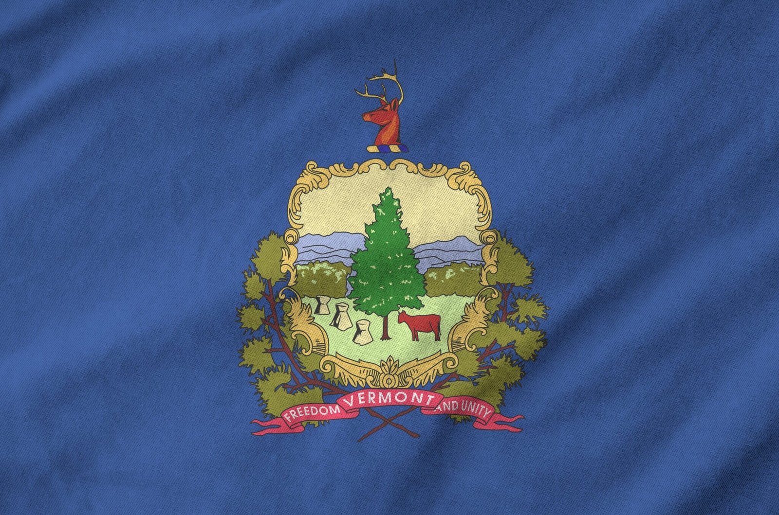 Vermont CPOM Laws | CPOM Vermont | Old Mission Medicine